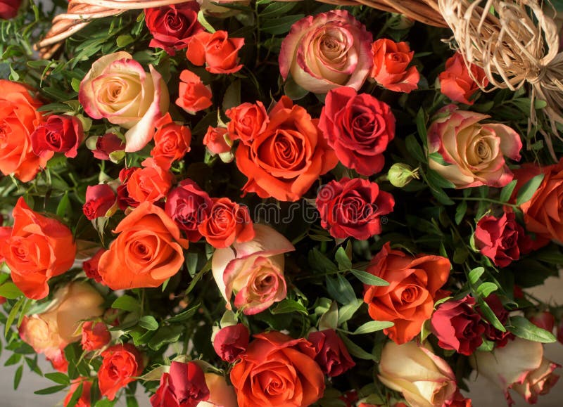 Bouquet of Red, Orange, Yellow Roses- a Composition of Multi-colored ...