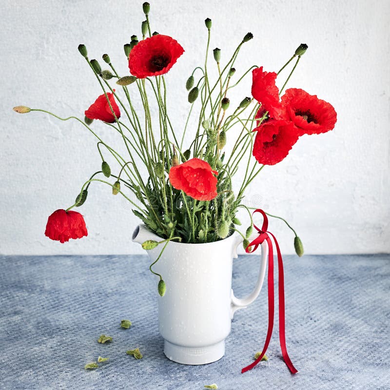 Bouquet of red poppies stock image. Image of elegance - 157755743