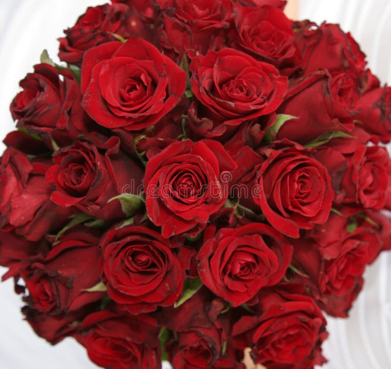 6+ Deep red rose bouquet Free Stock Photos - StockFreeImages