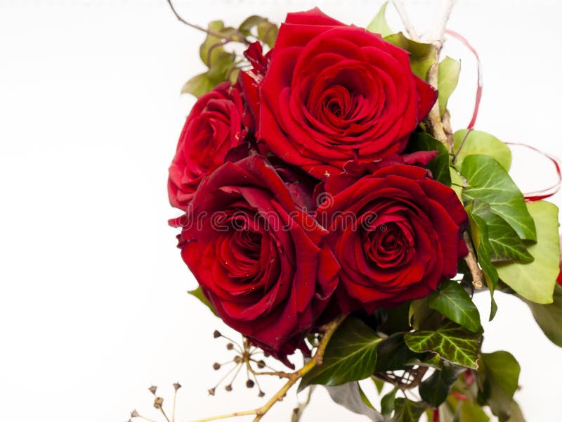 Bouquet of red roses stock photo. Image of beauty, love - 50956030