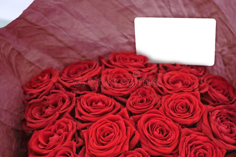 Bouquet of Red Roses with Blank Message Sign for Your Text or Message ...