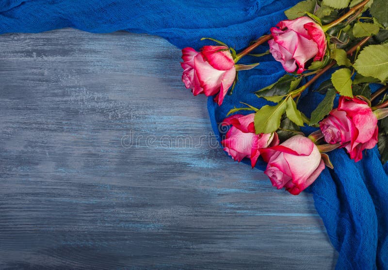 Red Roses on a Blue Background Stock Photo - Image of bunch, mother ...