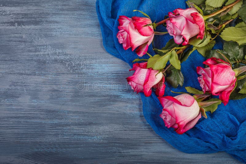 Red Roses on a Blue Background Stock Image - Image of rustic, space ...