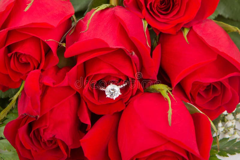 Bouquet of Red Roses with Engagement Ring Stock Photo - Image of ...