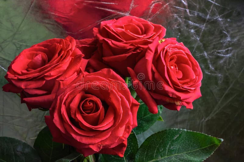 Bouquet of red roses stock photo. Image of beautiful - 141023736