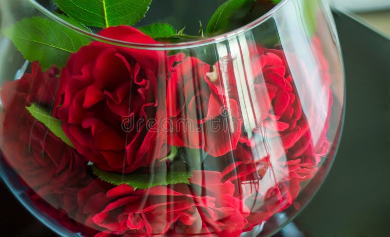 Bouquet of Red Roses in Glass Vase Stock Image - Image of florish ...