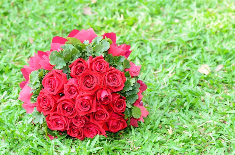 Bouquet of Red Roses on the Lawn. Stock Image - Image of life, ground ...