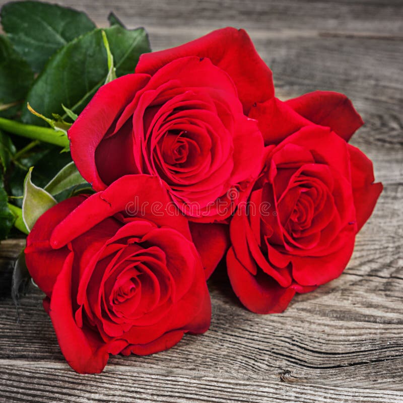 Bouquet of Red Roses on the Old Boards Stock Image - Image of roses ...