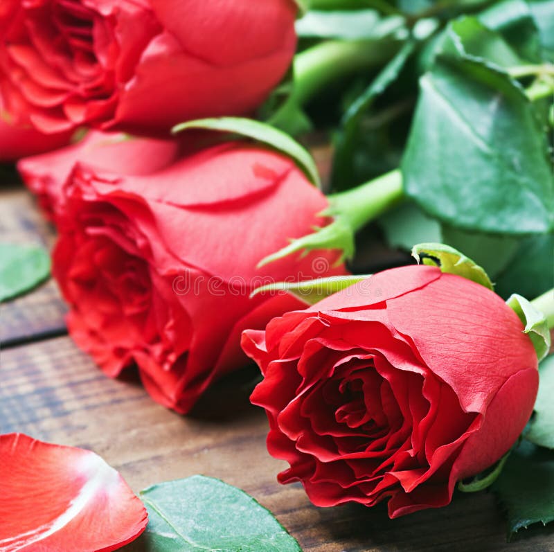 Red Roses and Holiday Gift on a Wooden Table Stock Image - Image of ...