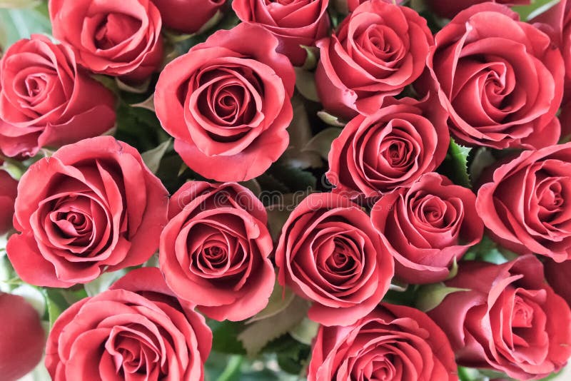 Bouquet of Red Roses, Top View Stock Image - Image of natural ...