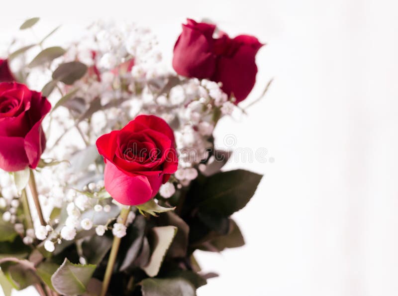 Bouquet of red roses stock photo. Image of design, nature - 86394362