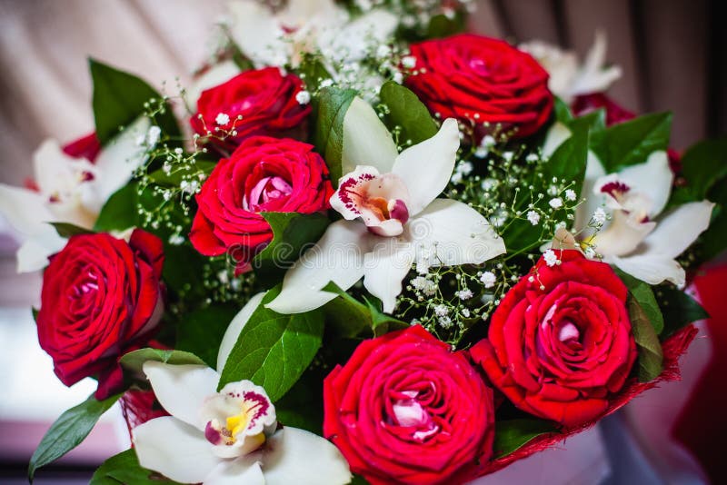 Bouquet of Red Roses and White Orchids Stock Image - Image of bloom ...