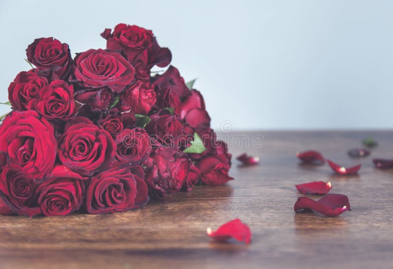 Bouquet of red roses stock image. Image of blank, flower - 172341725