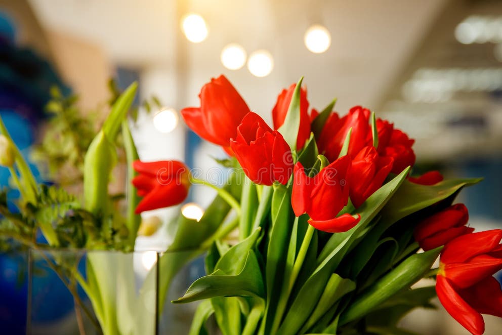 Bouquet of Red Spring Tulips in Office. Stock Image - Image of garden ...