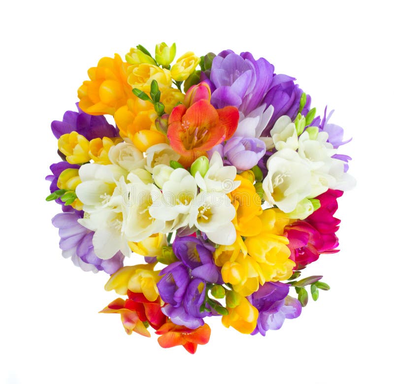Petit Bouquet Des Fleurs De Freesias Photo stock - Image du fleurs ...