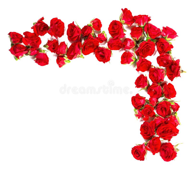 Condolence Flowers Borders