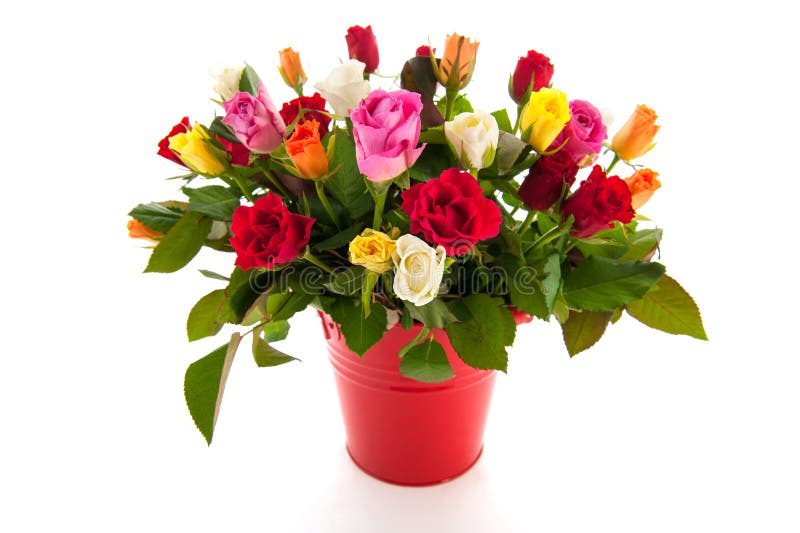 1,649 Bouquet Roses Bucket Stock Photos - Free & Royalty-Free Stock ...