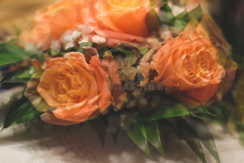 Bouquet of Roses with Double Exposure Abstract Background Stock Photo ...