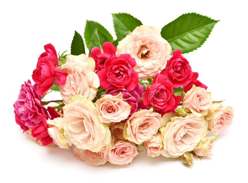 Bouquet Roses Flowers with Leaf Isolated on a White Background ...
