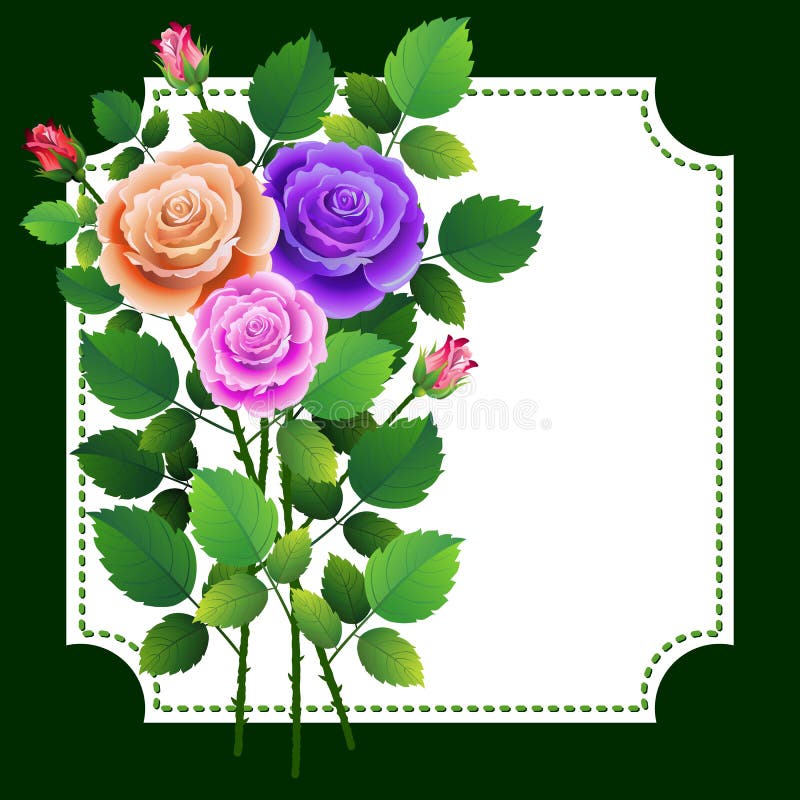 Bouquet of roses stock image. Illustration of flowers - 119599963