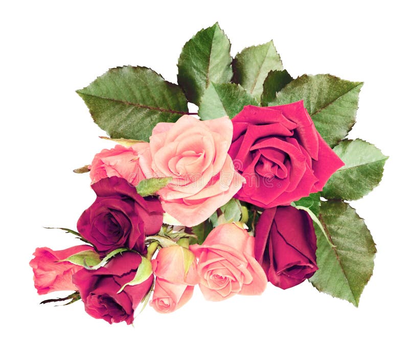 A Bouquet Of Nine Multi-colored Roses Stock Vector - Illustration of ...