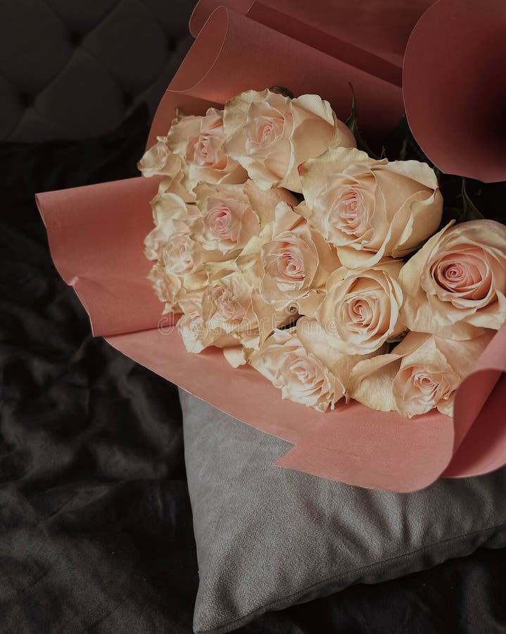 Bouquet of Roses in a Pink Wrapping Paper on a Dark Background Stock ...
