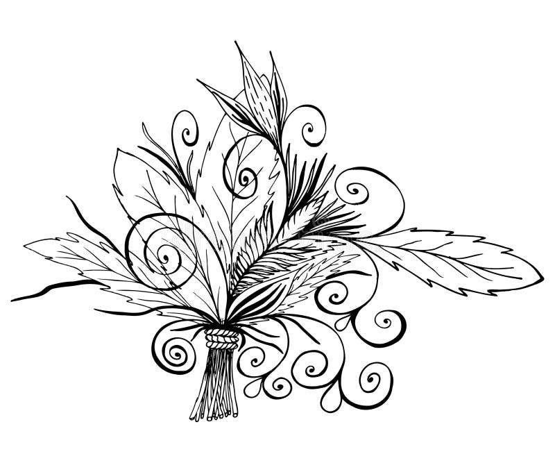 Bouquet of Rustic Flowers in Black and White Doodle Style Stock Vector ...