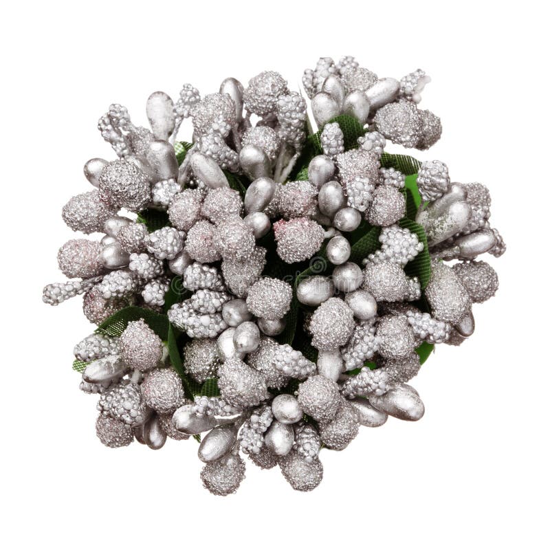 Bouquet of Silver Flower Isolated, Beautiful Decoration,top View Stock ...