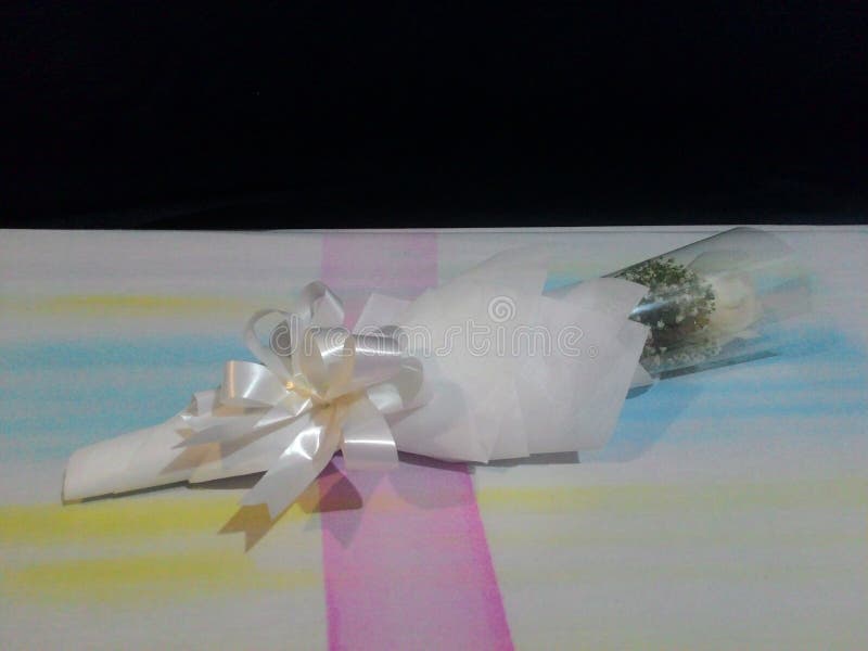 Bouquet of Single White Rose Tied with a White Ribbon Stock Photo ...