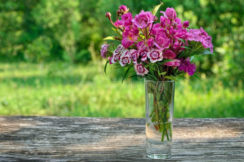 Bouquet of Small Carnations on a Table in the Garden Stock Image ...