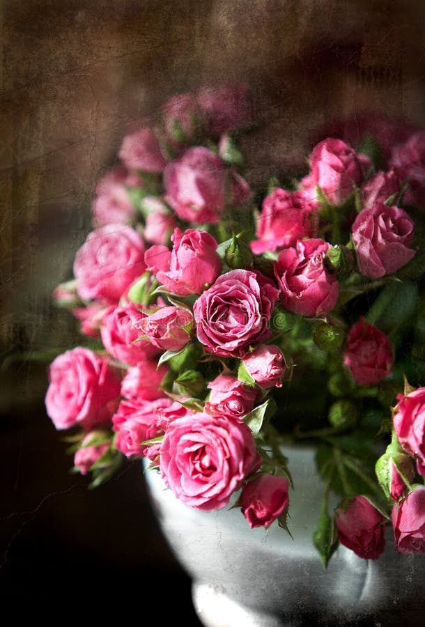 Bouquet of Small Pink Roses Stock Image - Image of dark, celebration ...