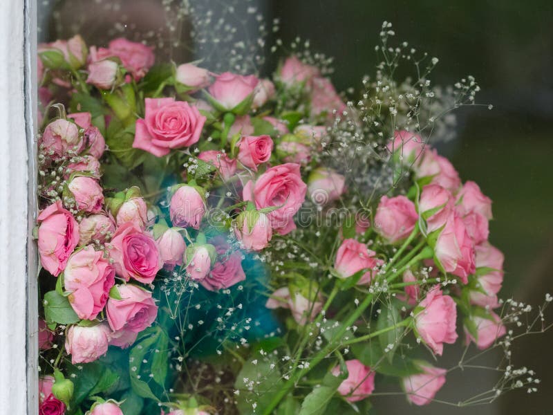 Bouquet of Small Pink Roses Behind the Glass Stock Image - Image of ...