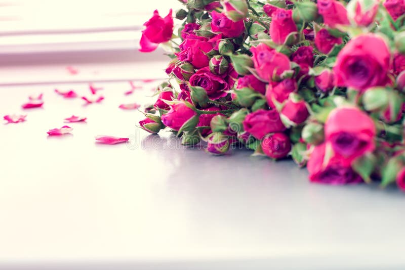 Bouquet of Small Pink Roses with Scattered Petals Stock Photo - Image ...