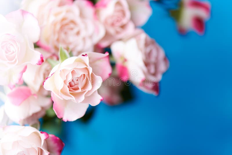 Bouquet of Small Pink Roses Stock Photo - Image of easter, love: 68331194