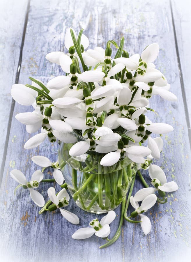 Bouquet of Snowdrops and Crocus, Red and White Traditional Bulgarian ...