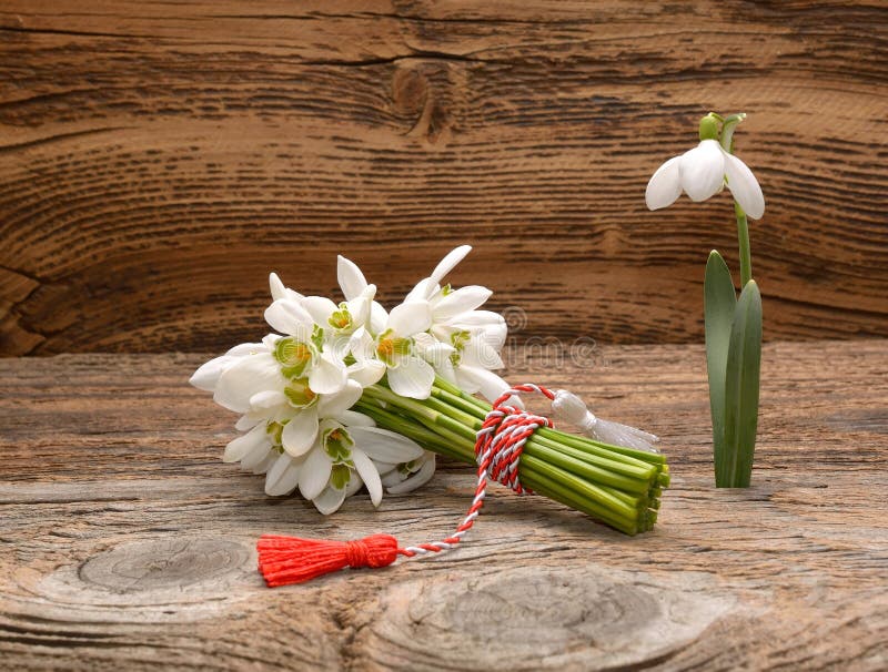 Bouquet of Snowdrops and Crocus, Red and White Traditional Bulgarian ...