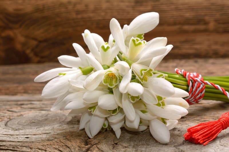 Bouquet of snowdrops stock photo. Image of cutout, galanthus - 96864288