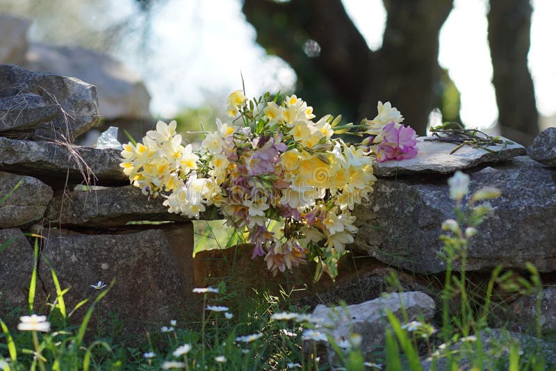 Frezya Doll Stock Photos - Free & Royalty-Free Stock Photos from Dreamstime