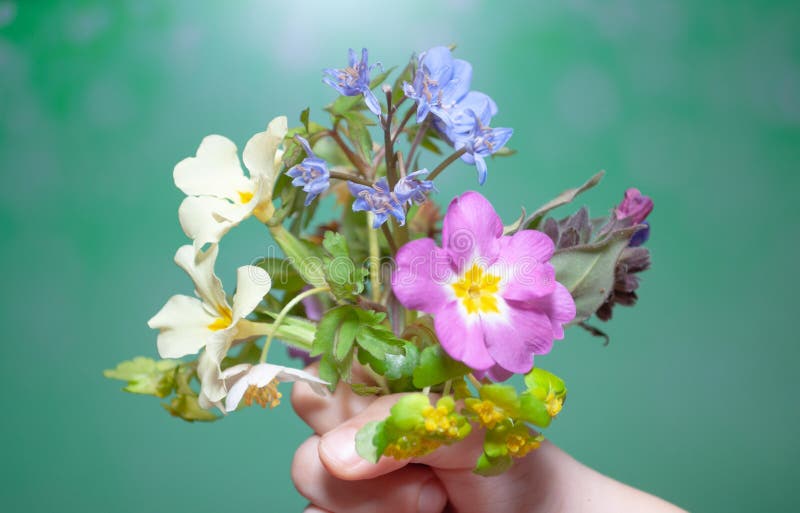 Bouquet of Spring Flowers of Different Colors Stock Photo - Image of ...