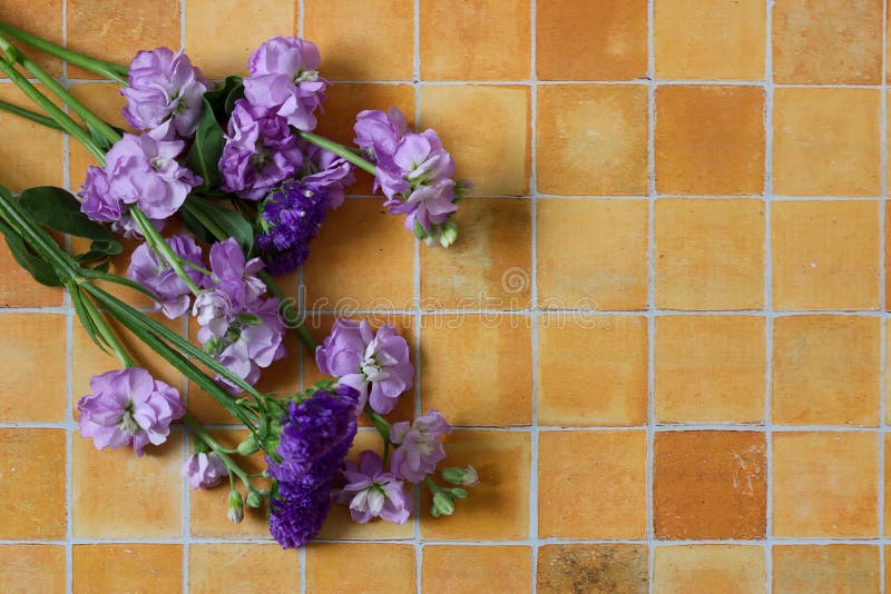 Bouquet of Statice and Stock in a Tile Pattern Stock Image - Image of ...