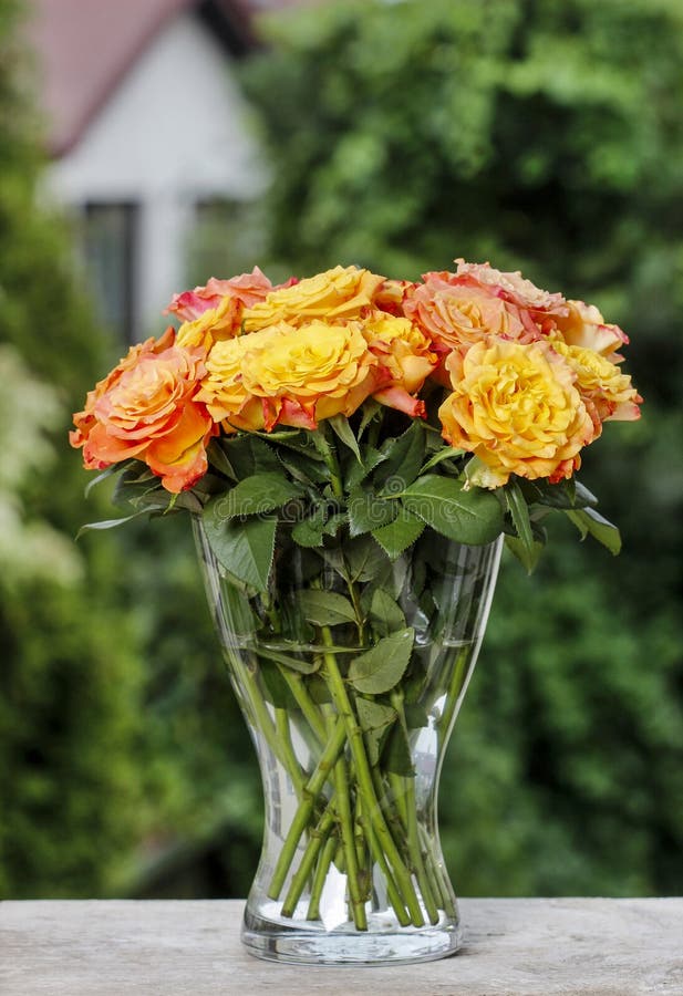 Bouquet of Stunning Orange Roses Stock Photo - Image of beautiful ...