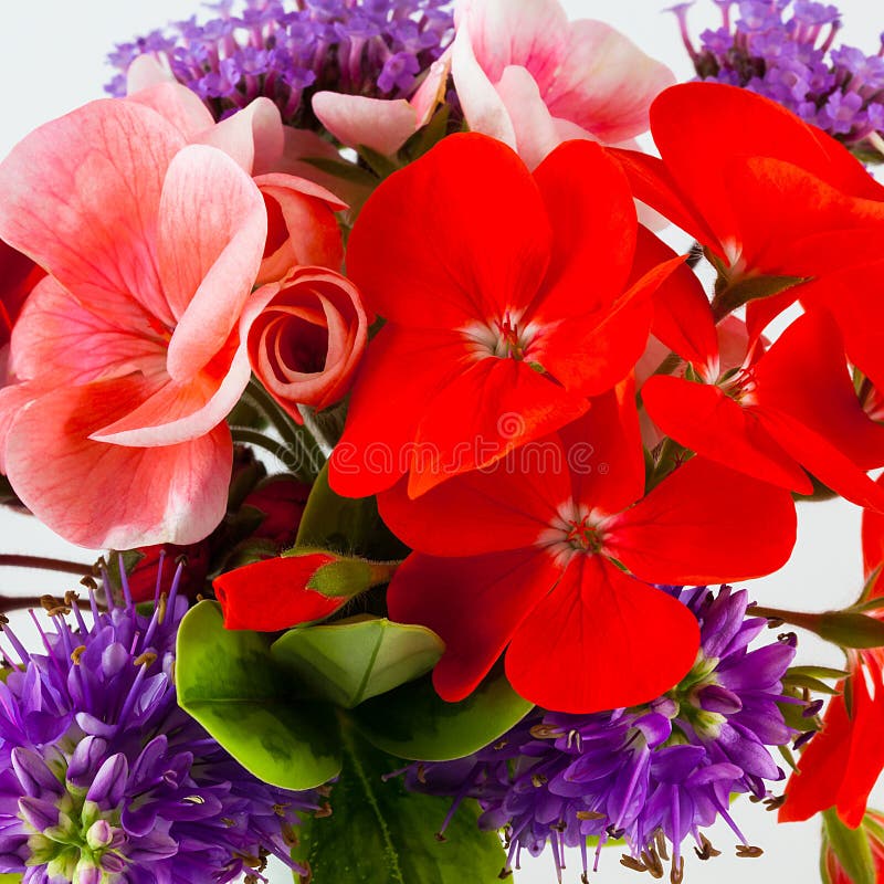 A Mixed Bouquet of Bright Coloured Summer Flowers Stock Photo - Image ...