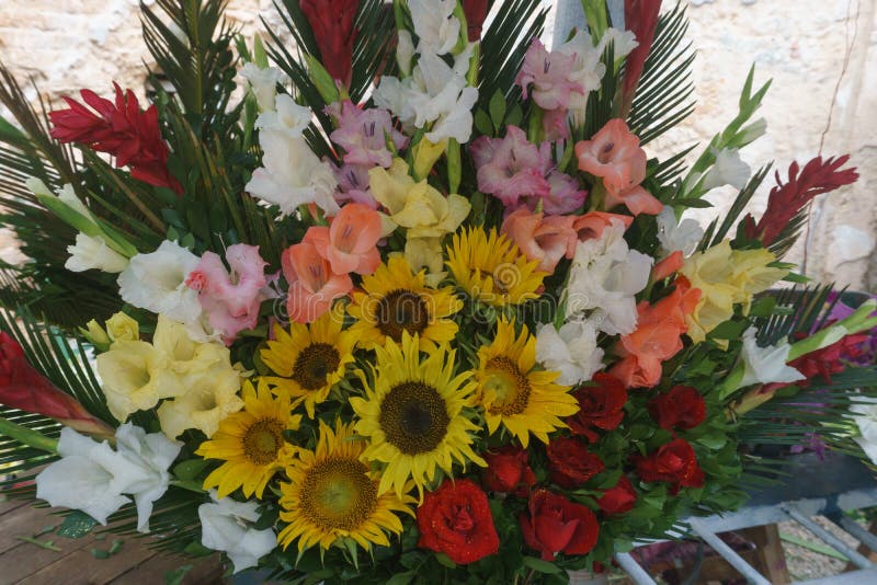 Beautiful Front View of Sunflowers Stock Image - Image of floral ...