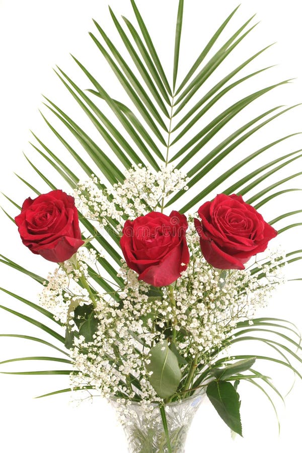 Bouquet from Three Beautiful Red Roses Stock Image - Image of stalk ...