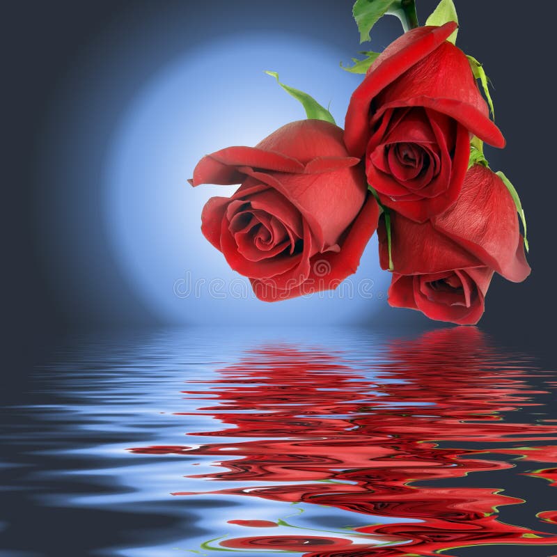 Bouquet from Three Red Roses and Moon. Stock Image - Image of ...
