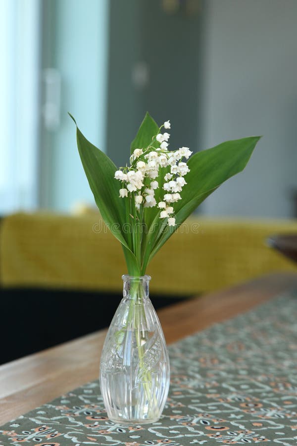 Bouquet of Thrush with Leaves in a Vase Stock Image - Image of season ...