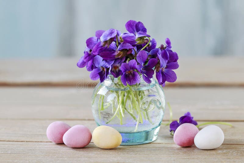 Bouquet of Tiny Violets Viola Odorata and Chocolate Easter Eggs on ...