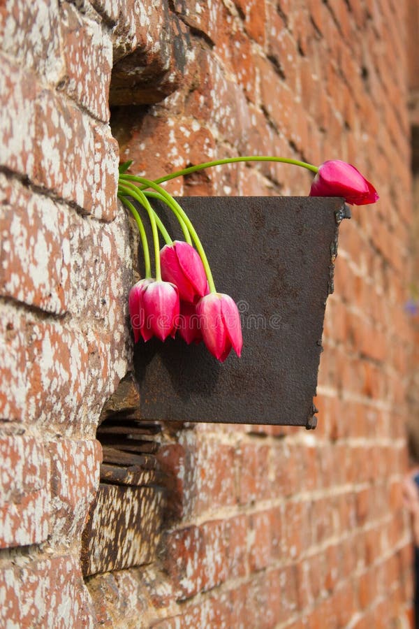 Bouquet of tulips stock image. Image of monument, beam - 71624009