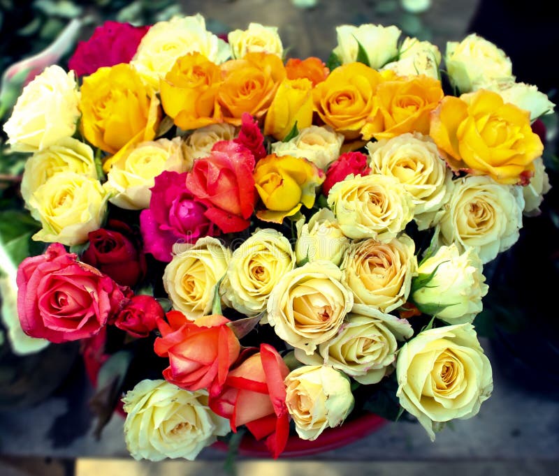 Bouquet with Variation of Roses Stock Photo - Image of variation ...