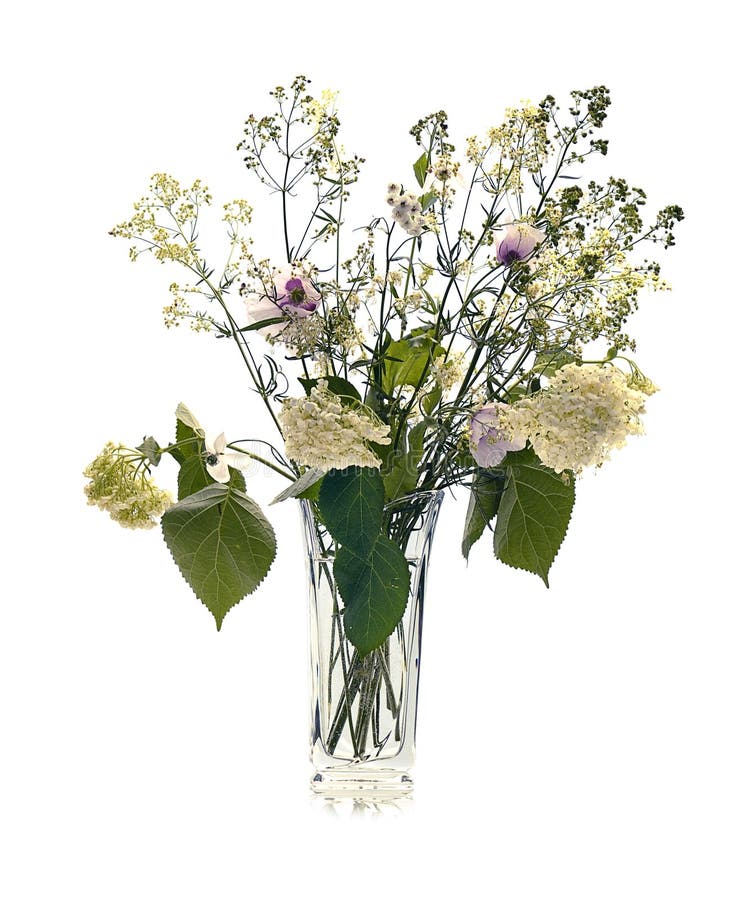 Bouquet in vase stock photo. Image of gardening, natural - 5803134